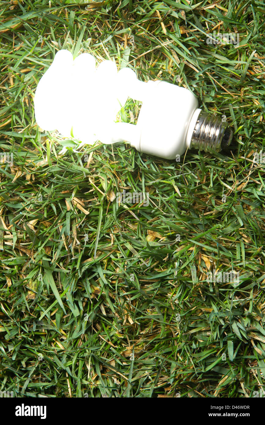Green Light Bulb glowing in the grass Stock Photo - Alamy