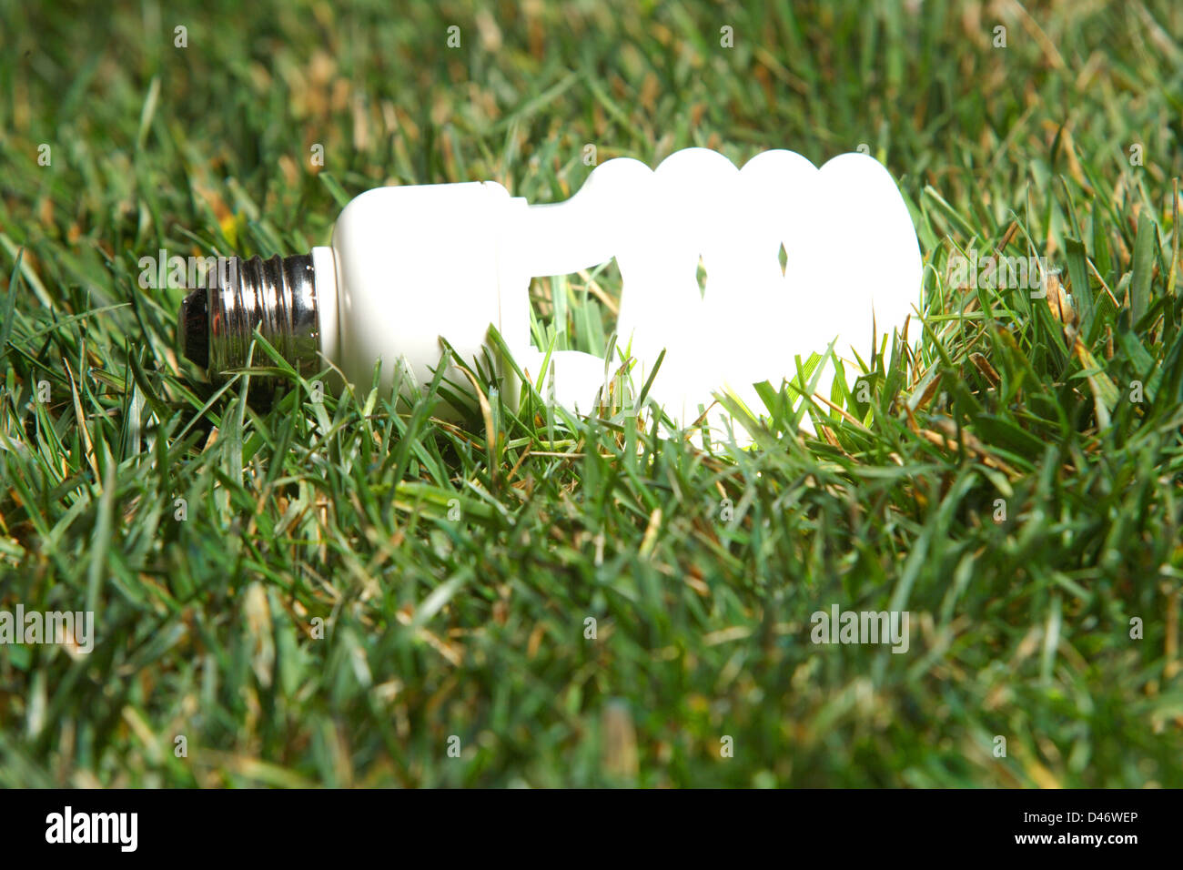 Green Light Bulb glowing in the grass Stock Photo - Alamy