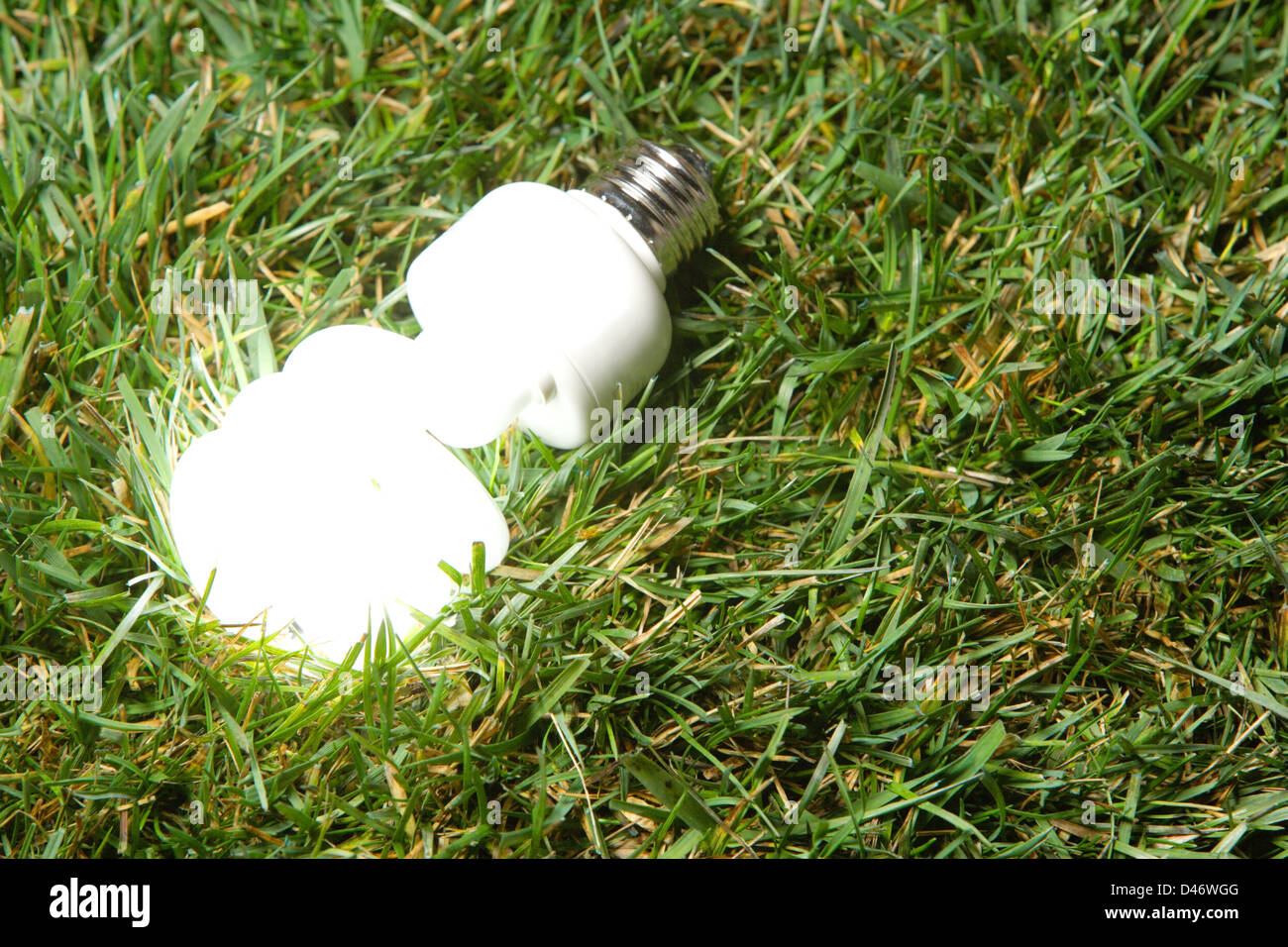 Green Light Bulb glowing in the grass Stock Photo - Alamy