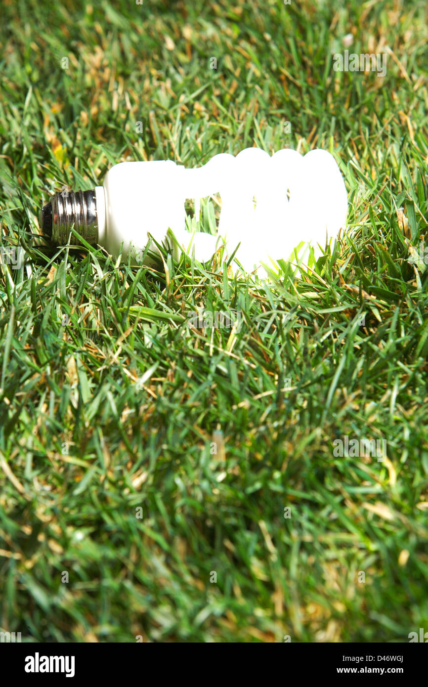 Green Light Bulb glowing in the grass Stock Photo - Alamy
