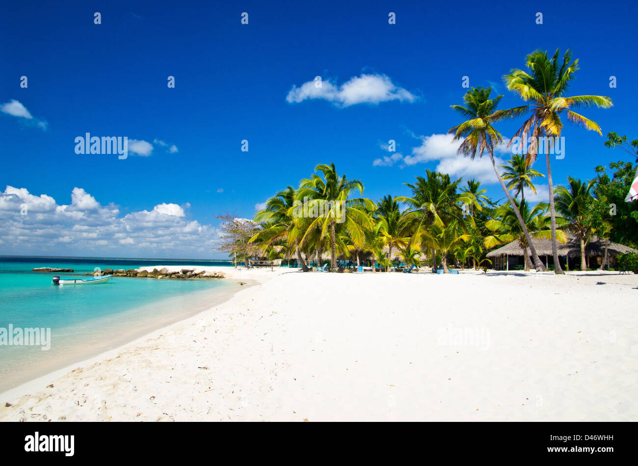 palms and sea beach Stock Photo - Alamy