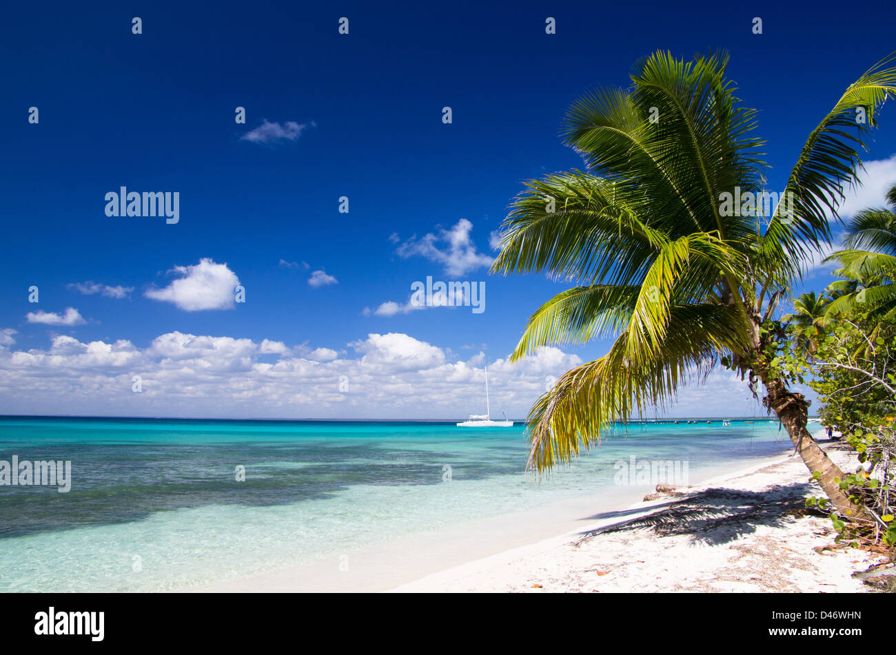 Palms sea beach hi-res stock photography and images - Alamy