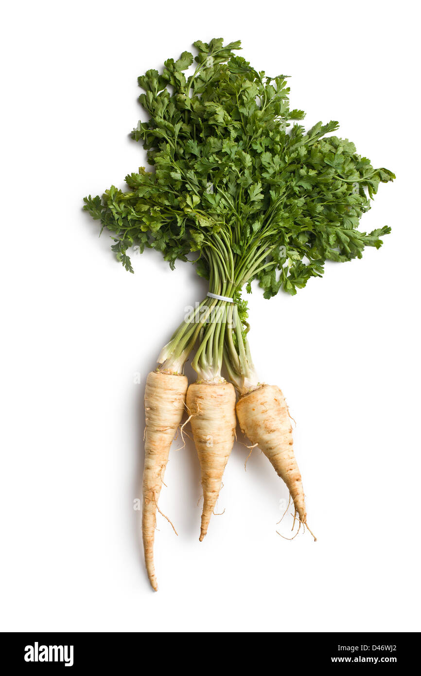 fresh parsnip on white background Stock Photo - Alamy