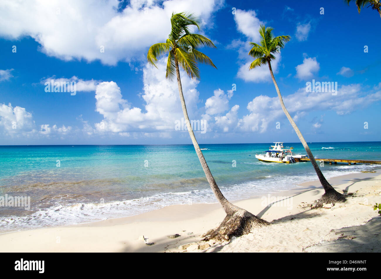 Tropical beach with sea wave on the sand and palm trees Stock Photo - Alamy