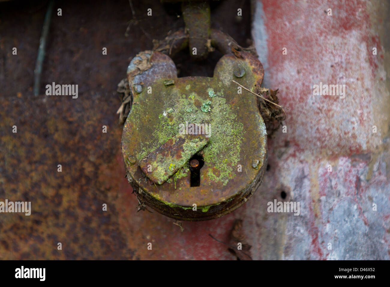 Rusty old lock shaped like a teddy bear head Stock Photo - Alamy