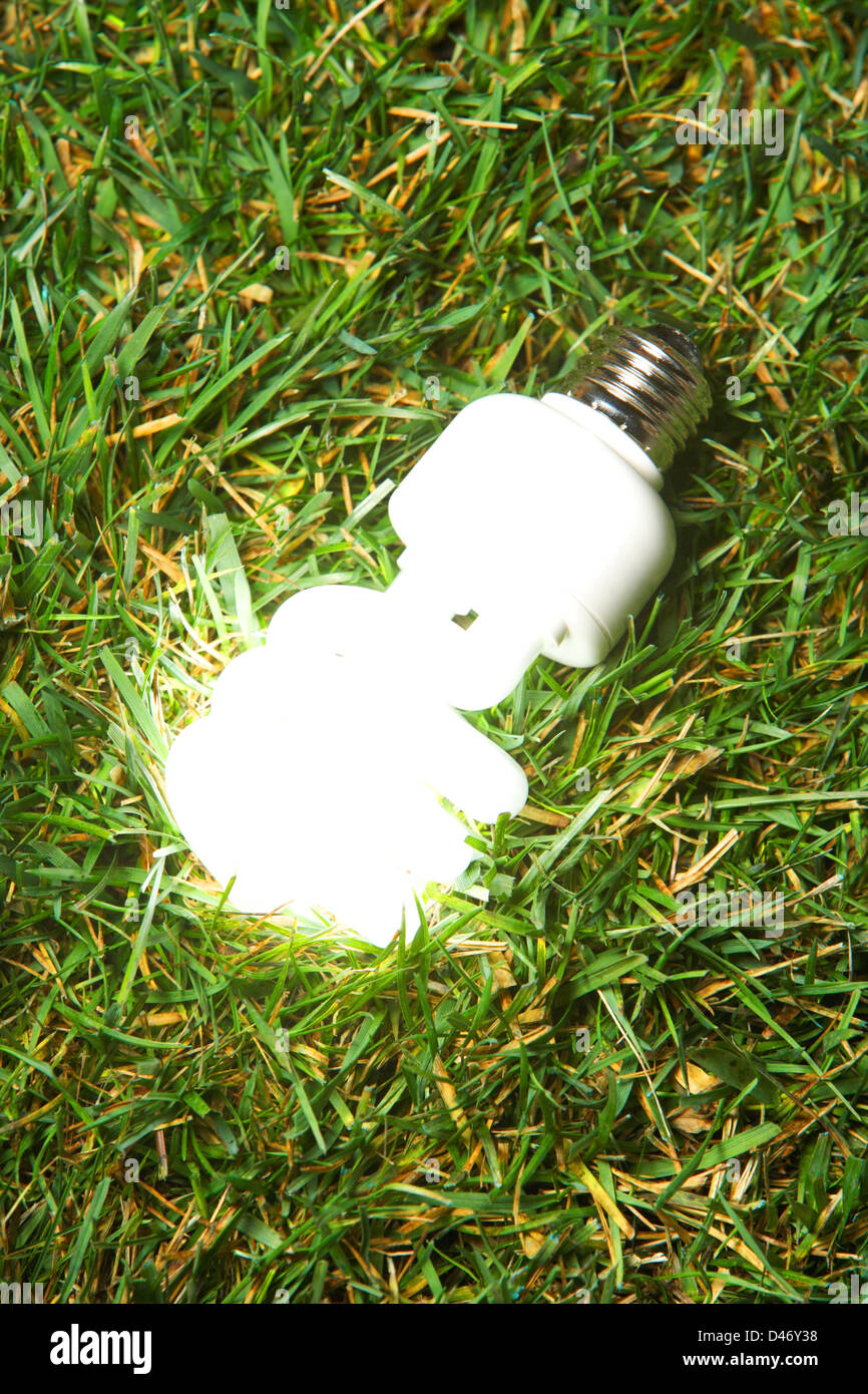 Green Light Bulb glowing in the grass Stock Photo - Alamy