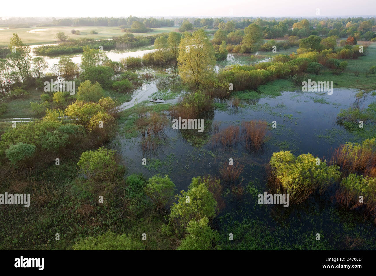 Flooded riverine landscape. Prypyatskiy National Park, Belarus Stock ...