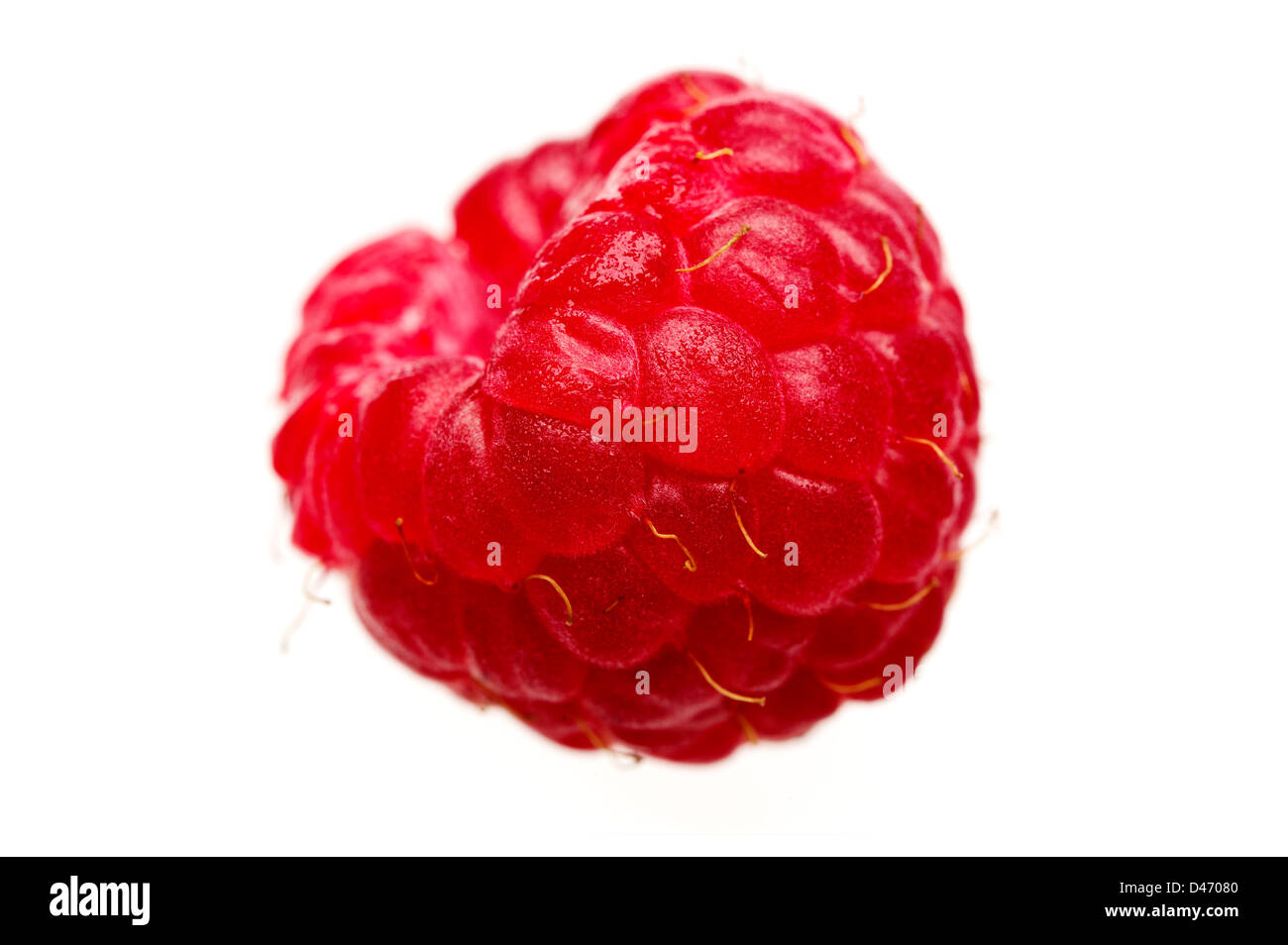 Single raspberry isolated on a white background Stock Photo - Alamy