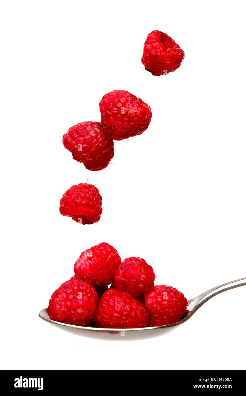 Raspberries falling on to a spoon isolated on a white background Stock ...