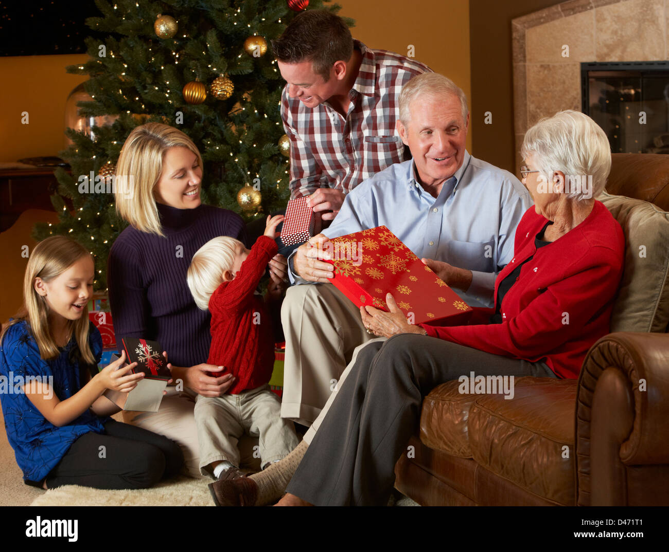 Gene family tree hi-res stock photography and images - Alamy