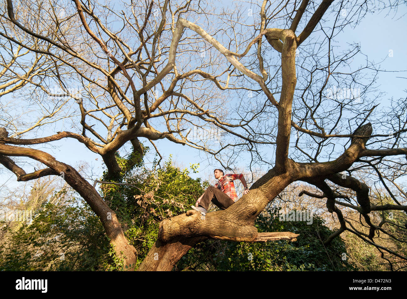 man wearing red shirt and brown trousers sitting in tree enjoying the ...