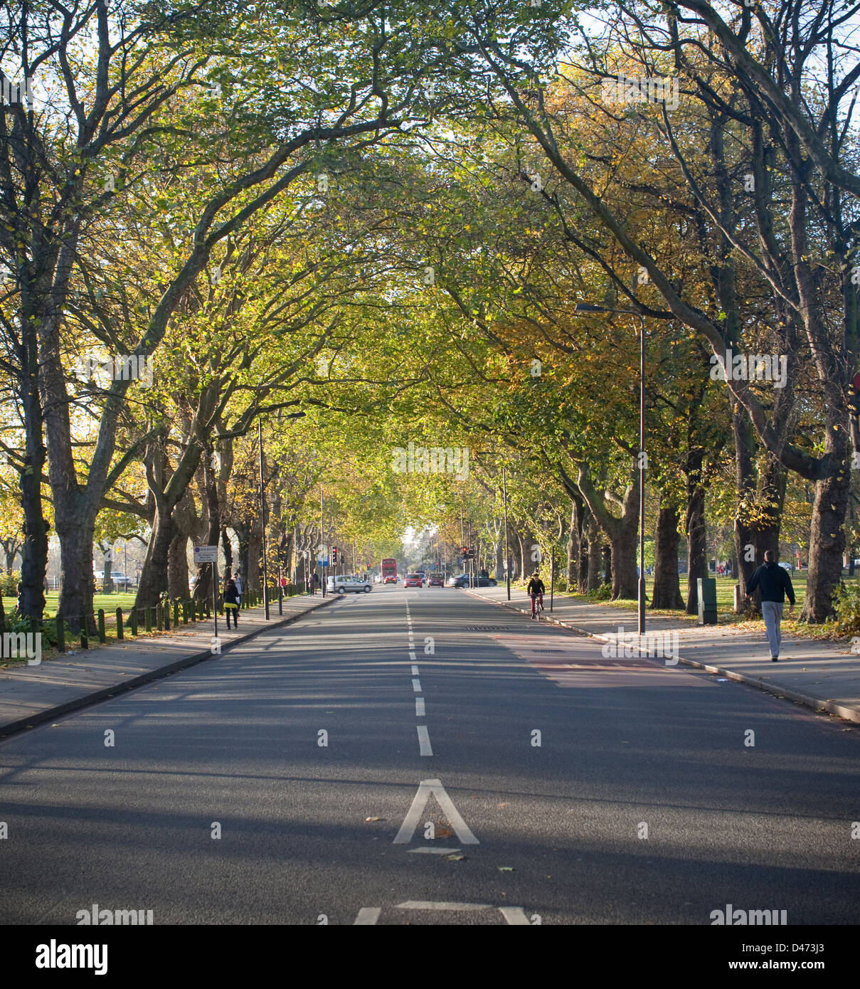 Common parkland hi-res stock photography and images - Alamy