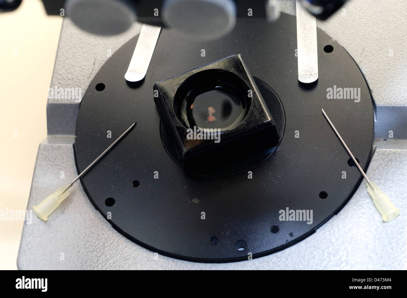 Close-up of two needles resting on the specimen table of a microscope ...