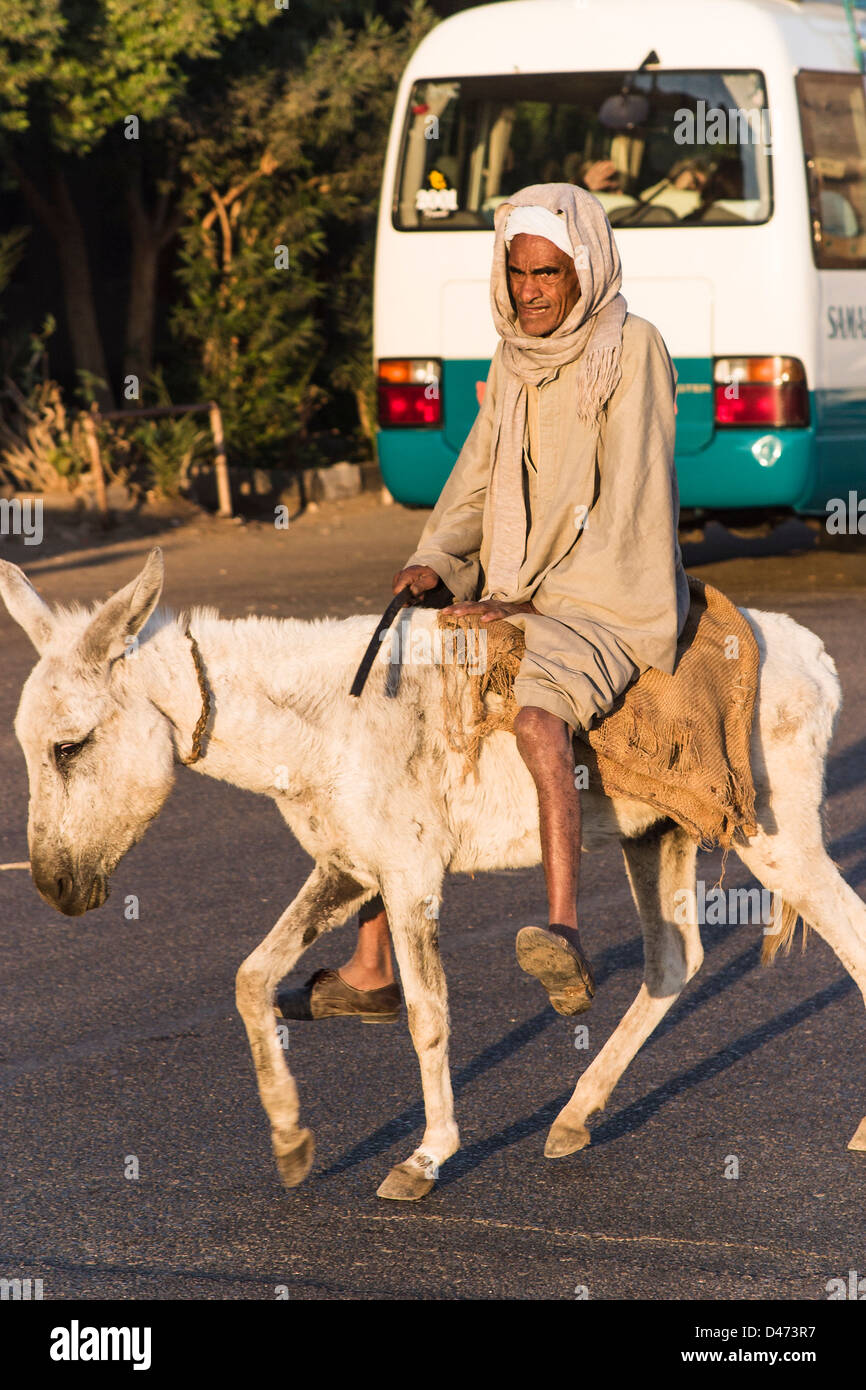 Egyptian man riding donkey at Valley of The Kings, Egypt Stock Photo ...