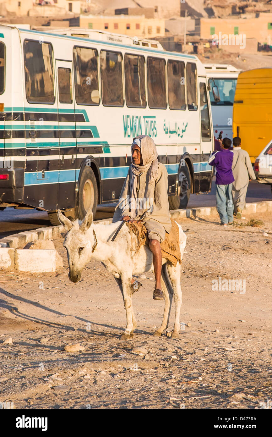 Egyptian riding donkey hi-res stock photography and images - Alamy