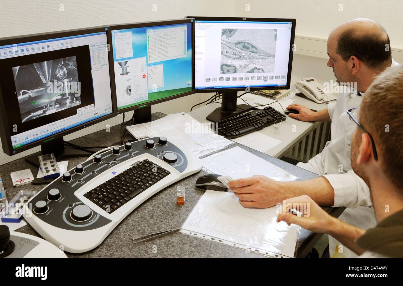 Neuroimmunologist Professor Ingo Bechmann (R) and research fellow ...