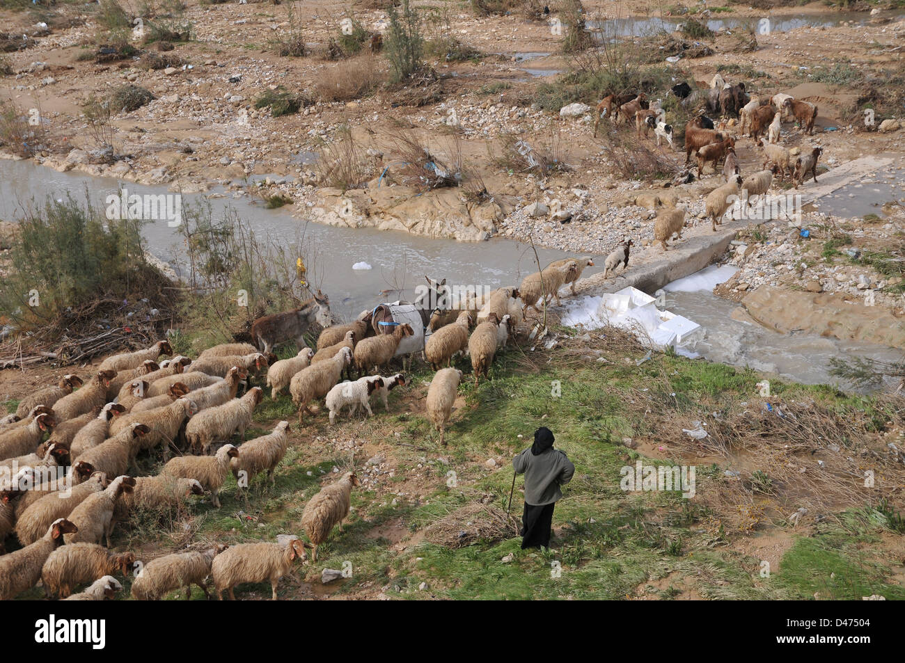 Middle East And Shepherd Stock Photos & Middle East And Shepherd Stock ...