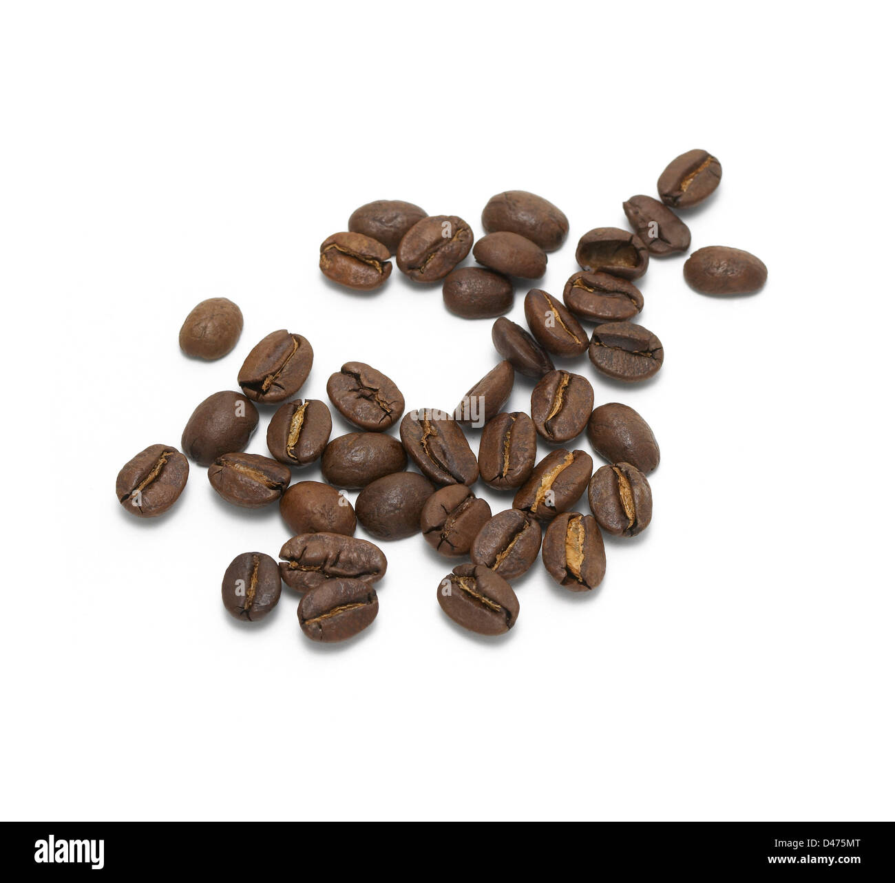 Dark brown trees Cut Out Stock Images & Pictures - Alamy