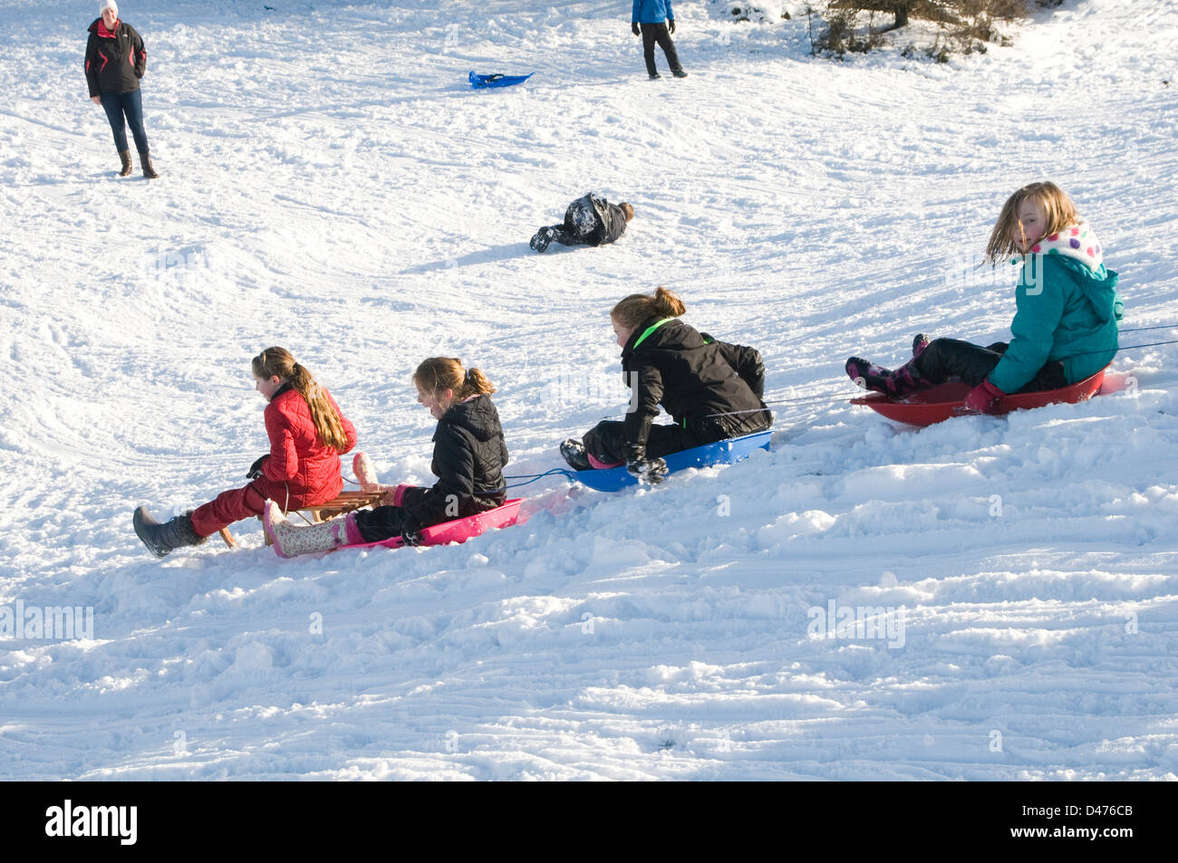 All on sledges in snow hi-res stock photography and images - Alamy