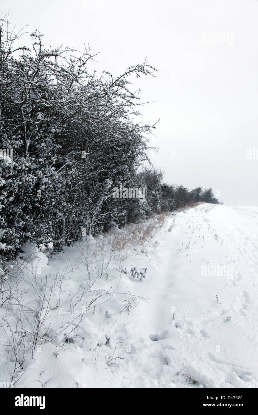 Hedgerows of england hi-res stock photography and images - Alamy