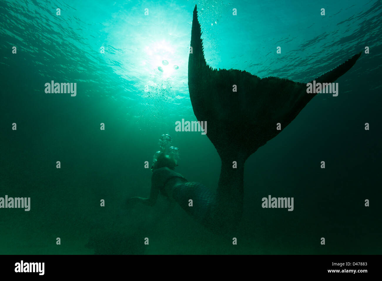 Merwoman hi-res stock photography and images - Alamy