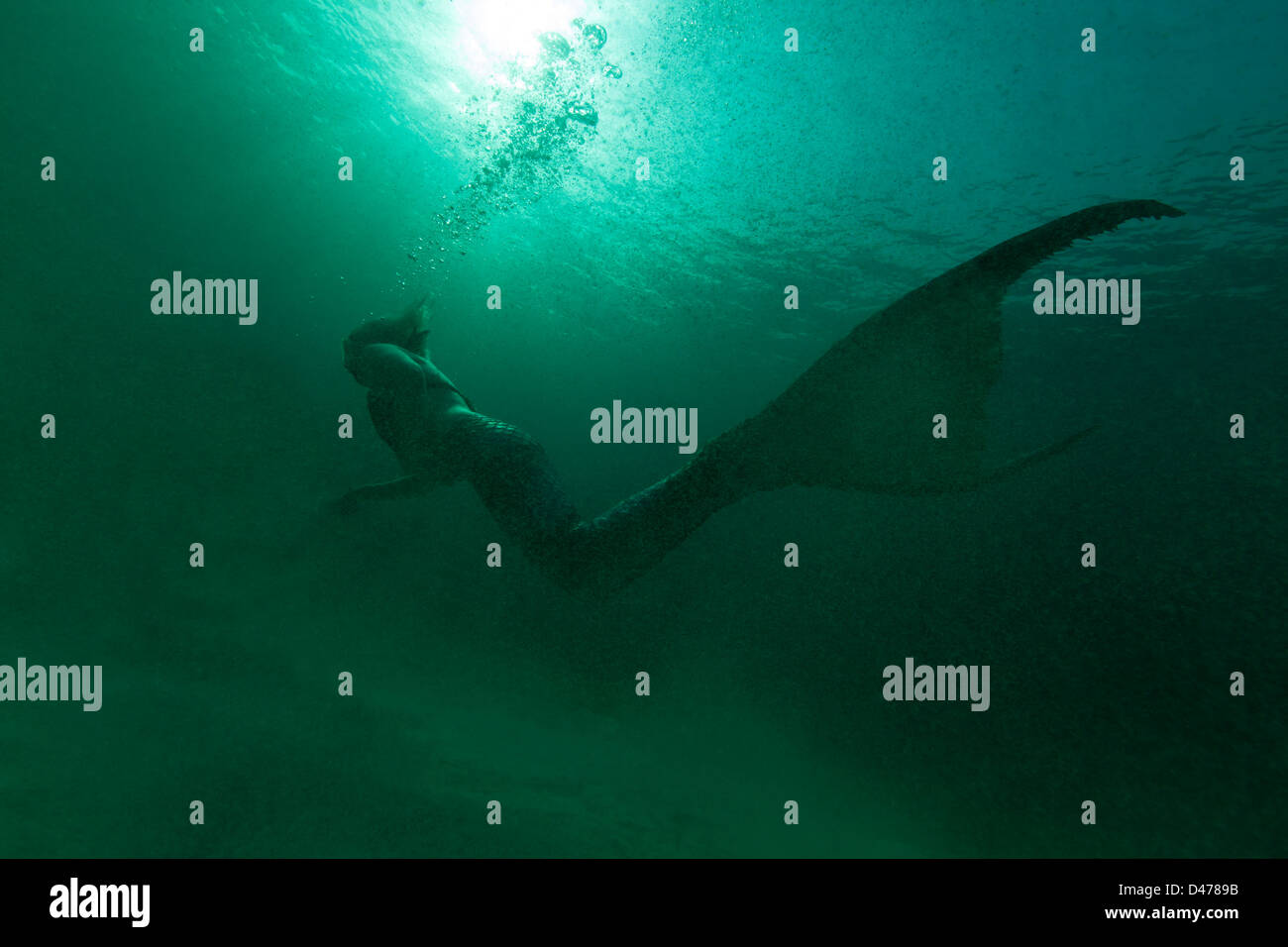 Real mermail hi-res stock photography and images - Alamy