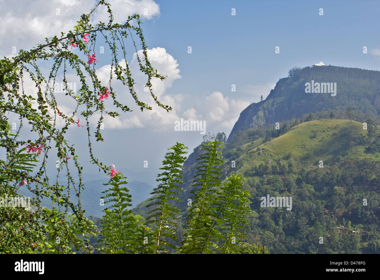 Ella rock hi-res stock photography and images - Alamy