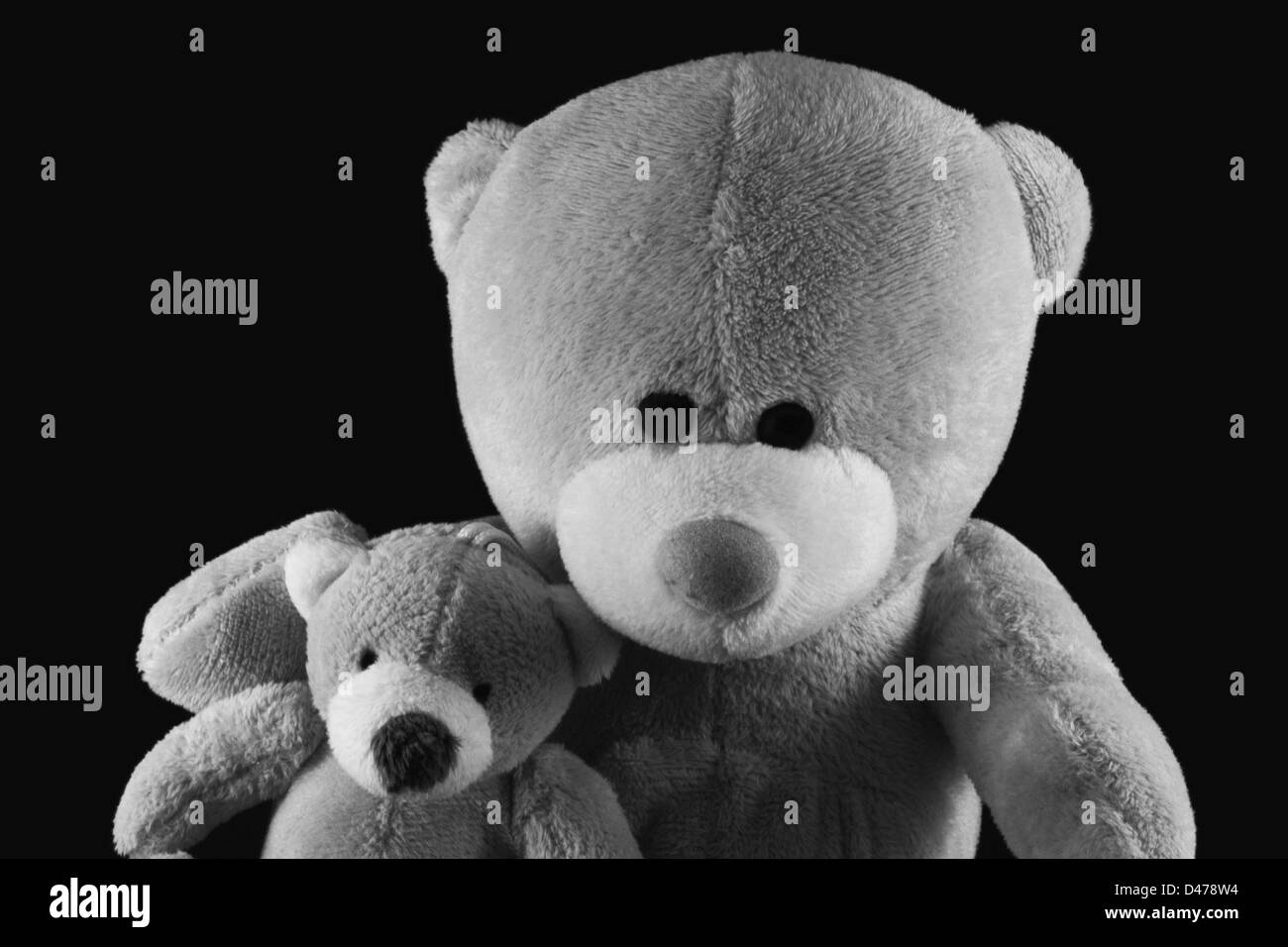 Sitting teddy Black and White Stock Photos & Images - Alamy