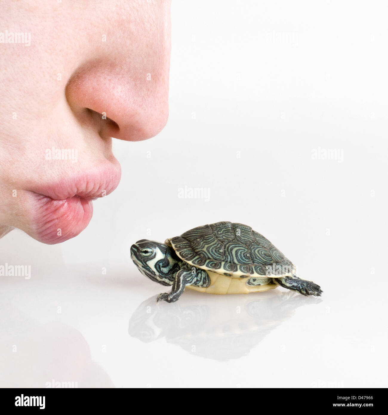 Mouth of a girl kissing a turtle Stock Photo - Alamy