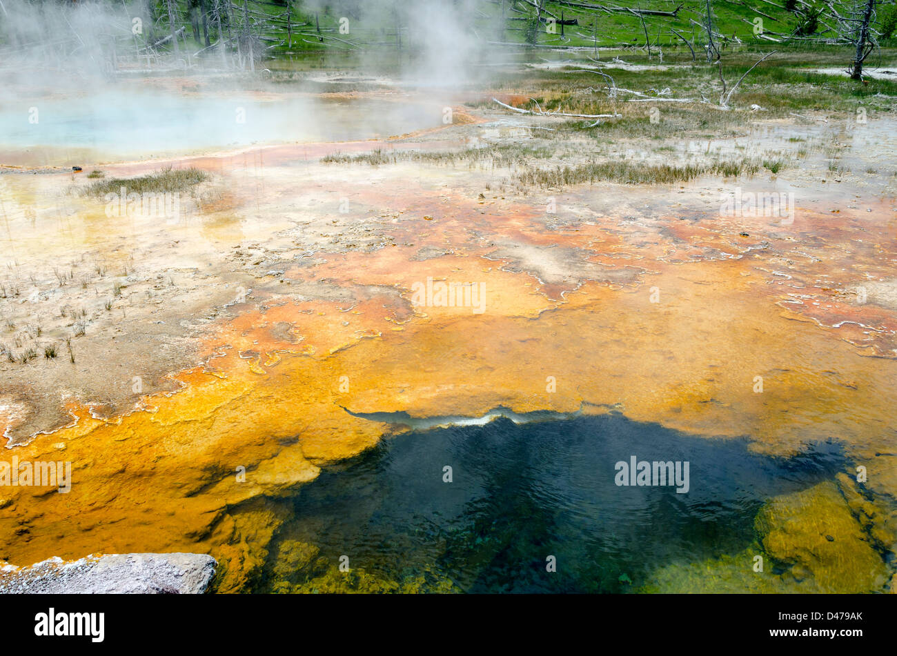 geysers of Yellowstone National Park in many colors Stock Photo - Alamy