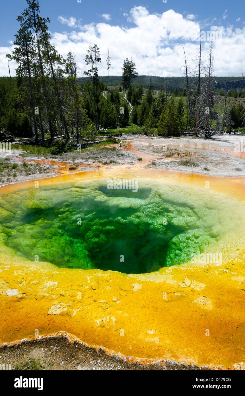 Morning Glory Pool in Yellowstone National Park Stock Photo - Alamy
