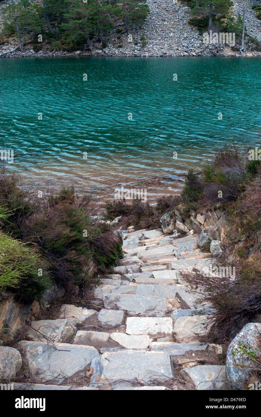 Lochan Uaine, the Green Loch, in Glenmore Forest, in the Cairngorms ...