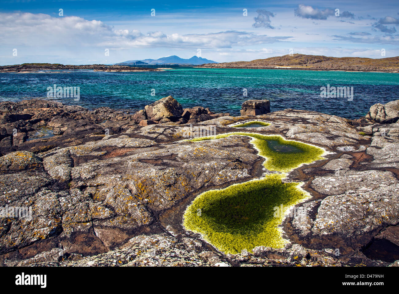 Colourful rock pool at at Sanna Bay, Ardnamurchan, Highlands, Scotland ...