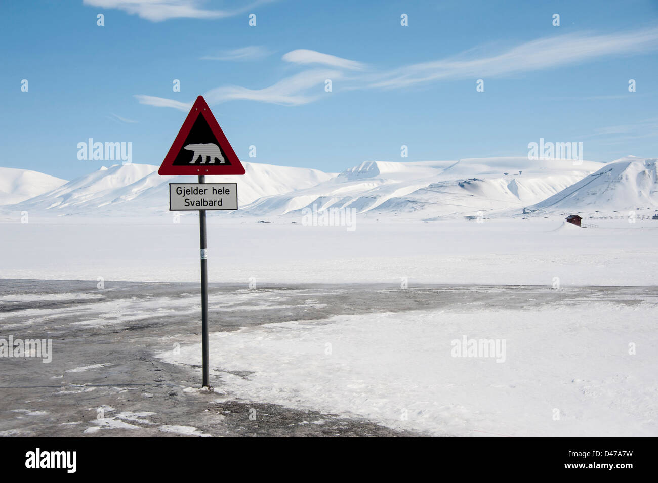 Ice bears hi-res stock photography and images - Alamy