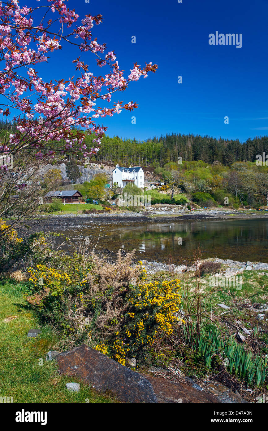 Salen hi-res stock photography and images - Alamy