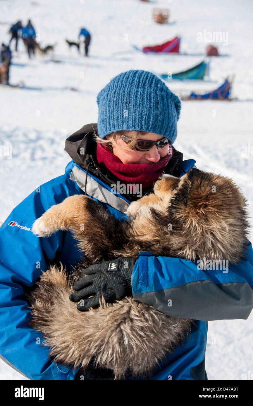 Dogsledding tourguide Reetta Helkala pets one of the new pups Stock ...