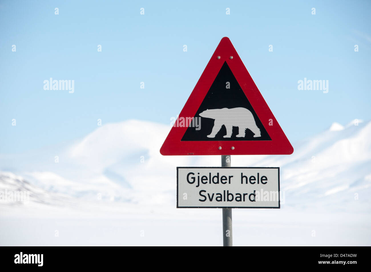 Road sign warning for ice-bears outside the village of Longyearbyen on ...