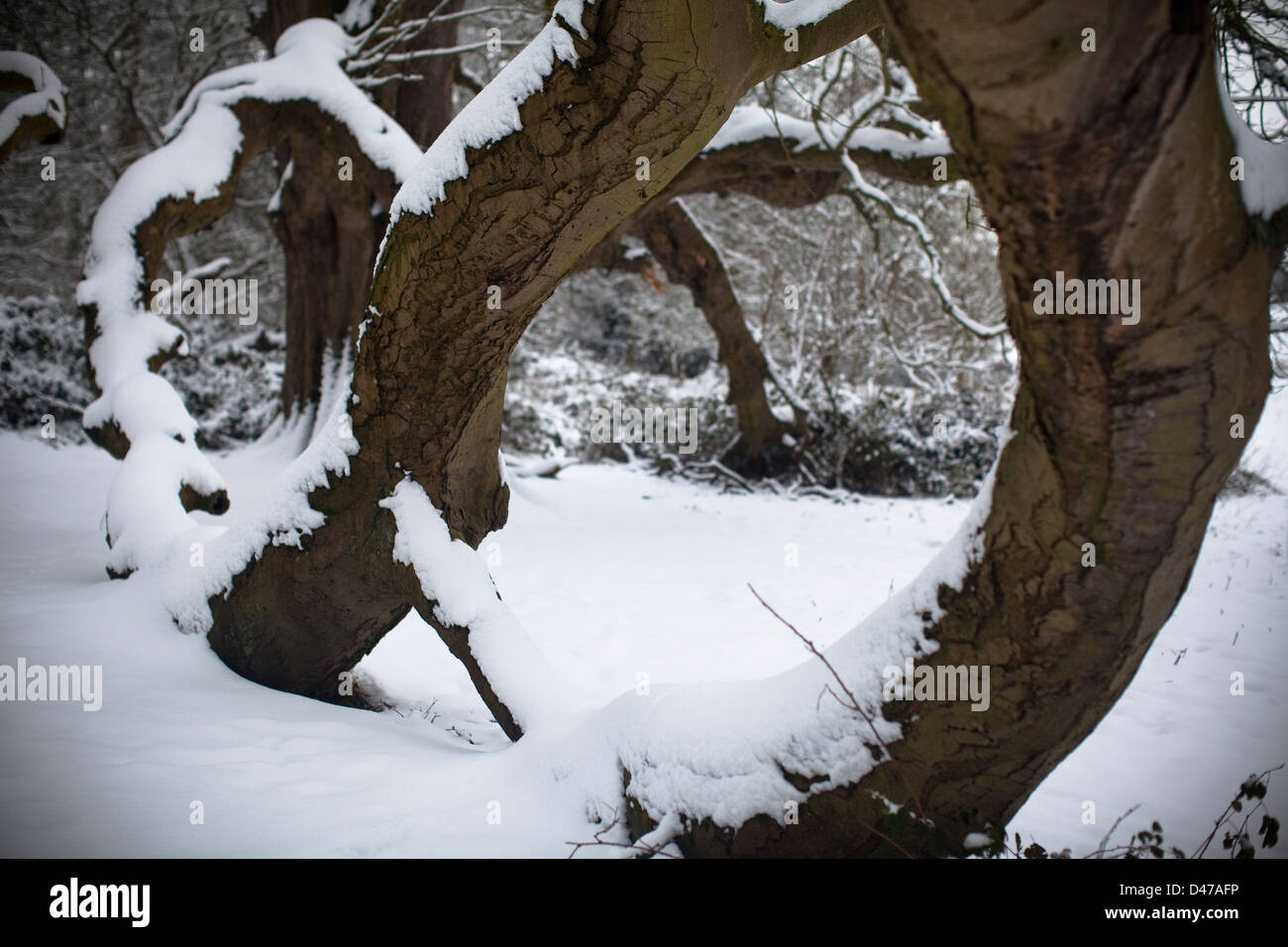 Snow in essex on hi-res stock photography and images - Alamy