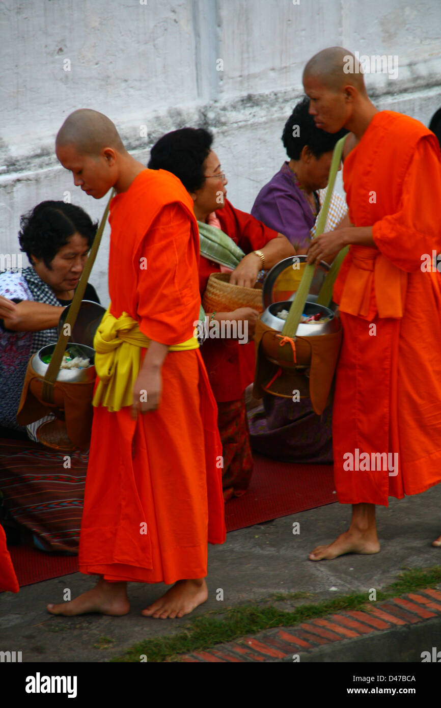 Luang prabang monks meditating hi-res stock photography and images - Alamy