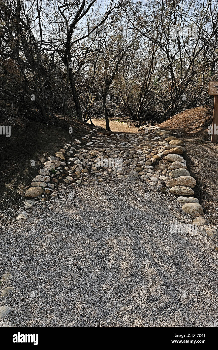A path through the wilderness; Baptism Site of Jesus Christ, Jordan ...