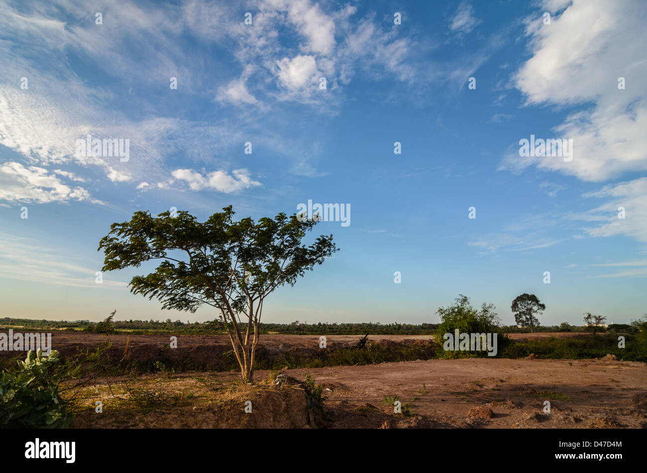 Land tree and sky in the countryside view nature Stock Photo - Alamy