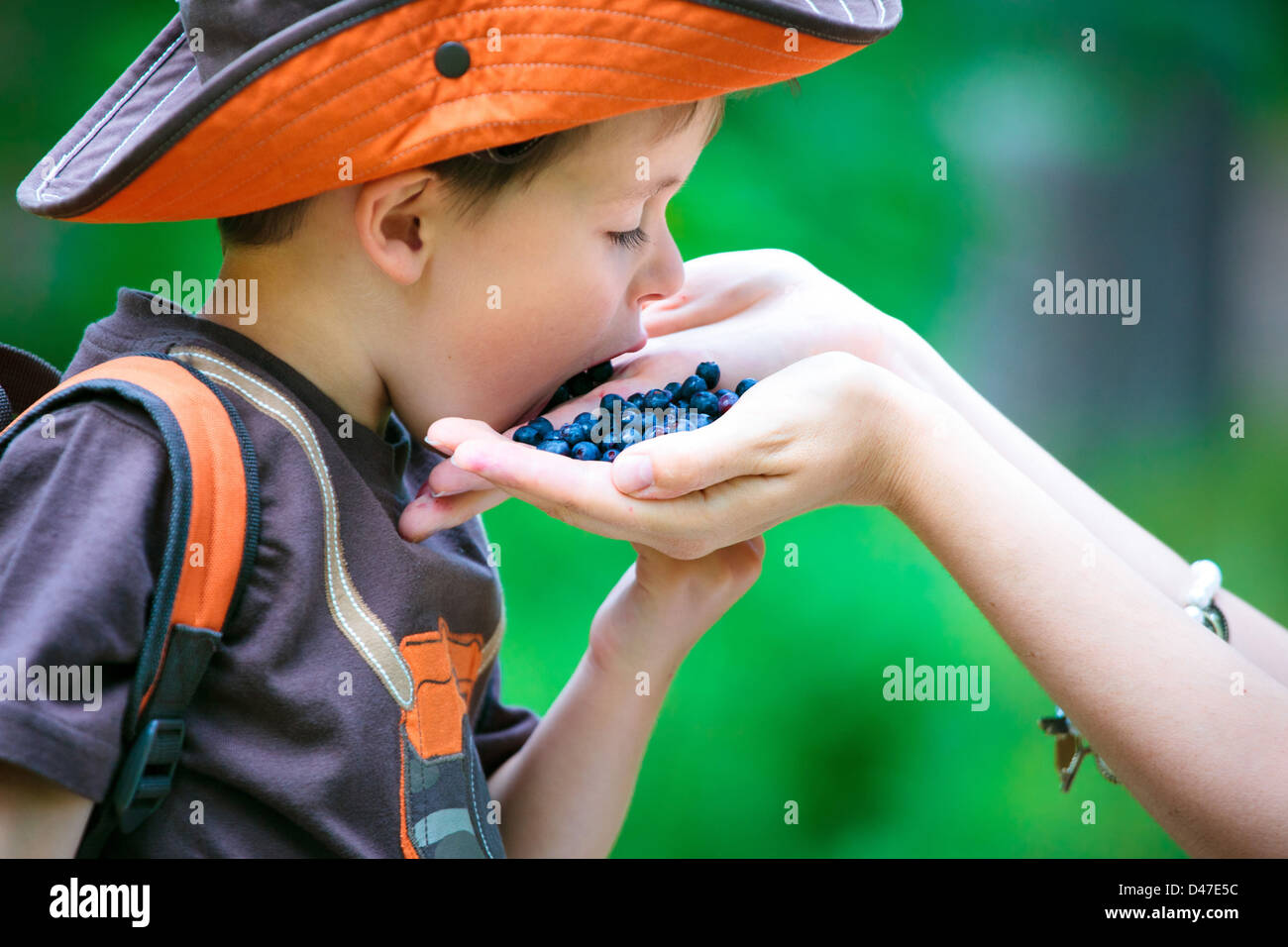 Cute little boy eating berries from mother's hand in forest Stock Photo ...