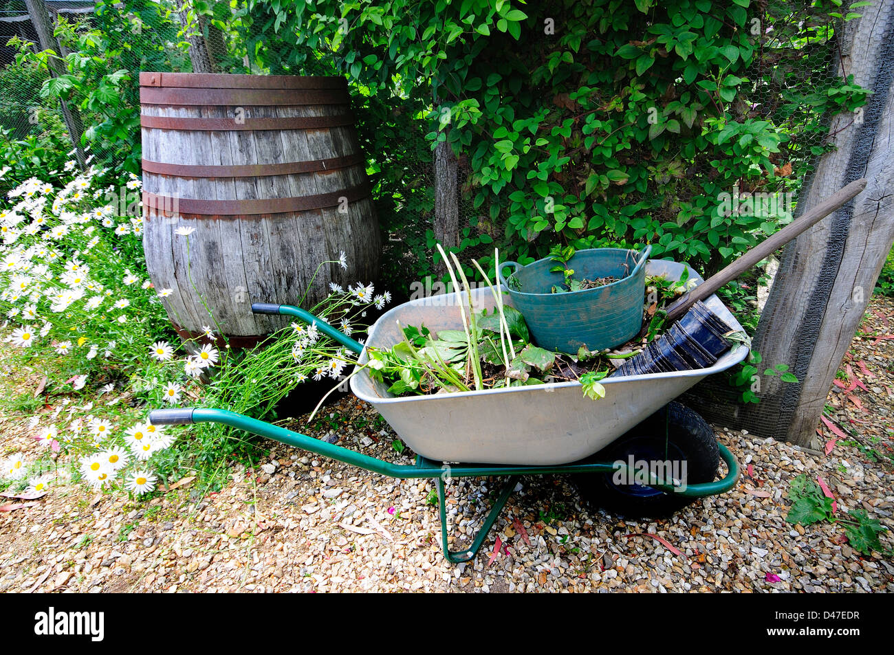 A view of a garden with a full wheelbarrow and a water butt Stock Photo ...