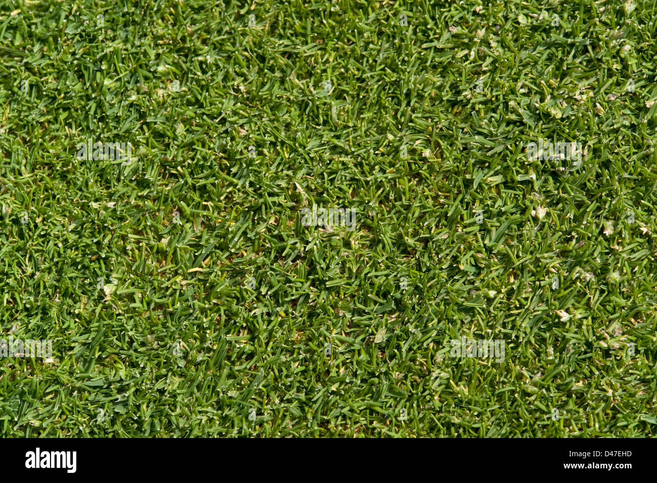 abstract golf green detail Stock Photo - Alamy