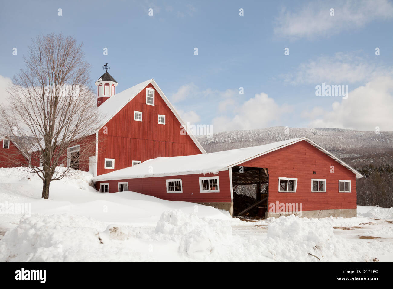 Red barn in snow, Rochester, Vermont, USA Stock Photo - Alamy