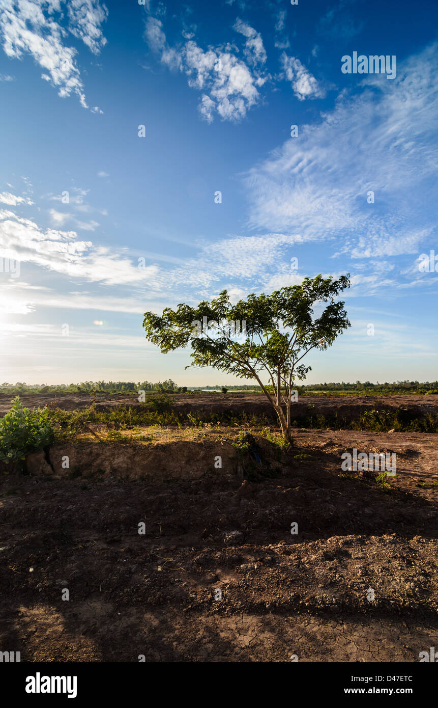 Land tree and sky in the countryside view nature Stock Photo - Alamy