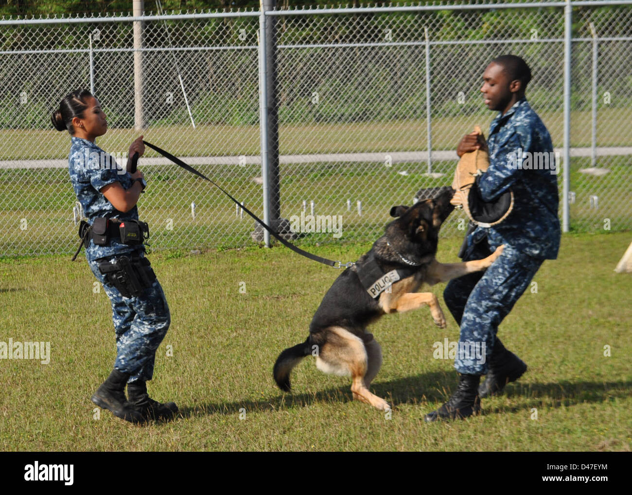 A U.S. Navy Sailor commands police dog, Mickey, to demonstrate an ...