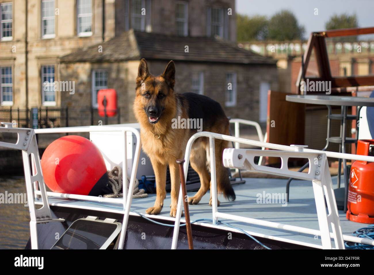 Dog barge hi-res stock photography and images - Alamy