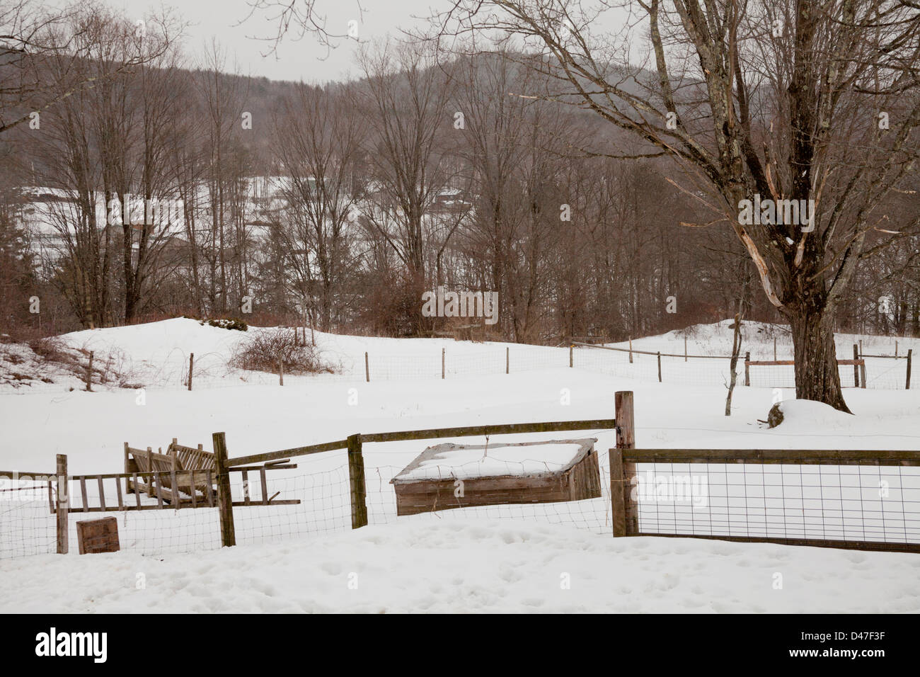 Pasture in winter snow, Woods Cider Mill, Springfield, Vermont, USA ...
