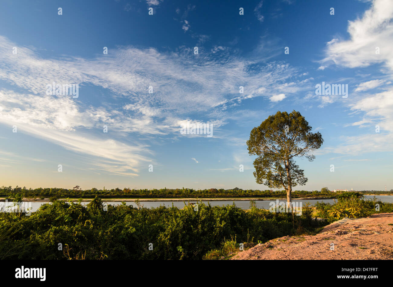 Land tree and sky in the countryside view nature Stock Photo - Alamy